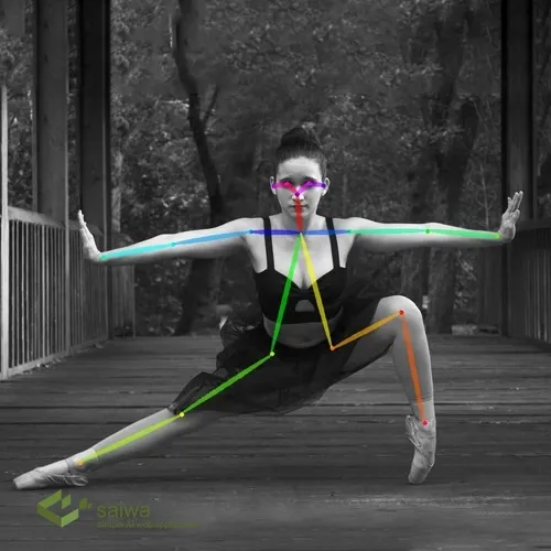 Beyond Poses: Openpose vs Mediapipe for Dynamic Vision