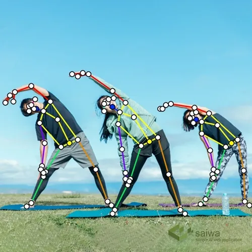 fraime - Pose Estimation